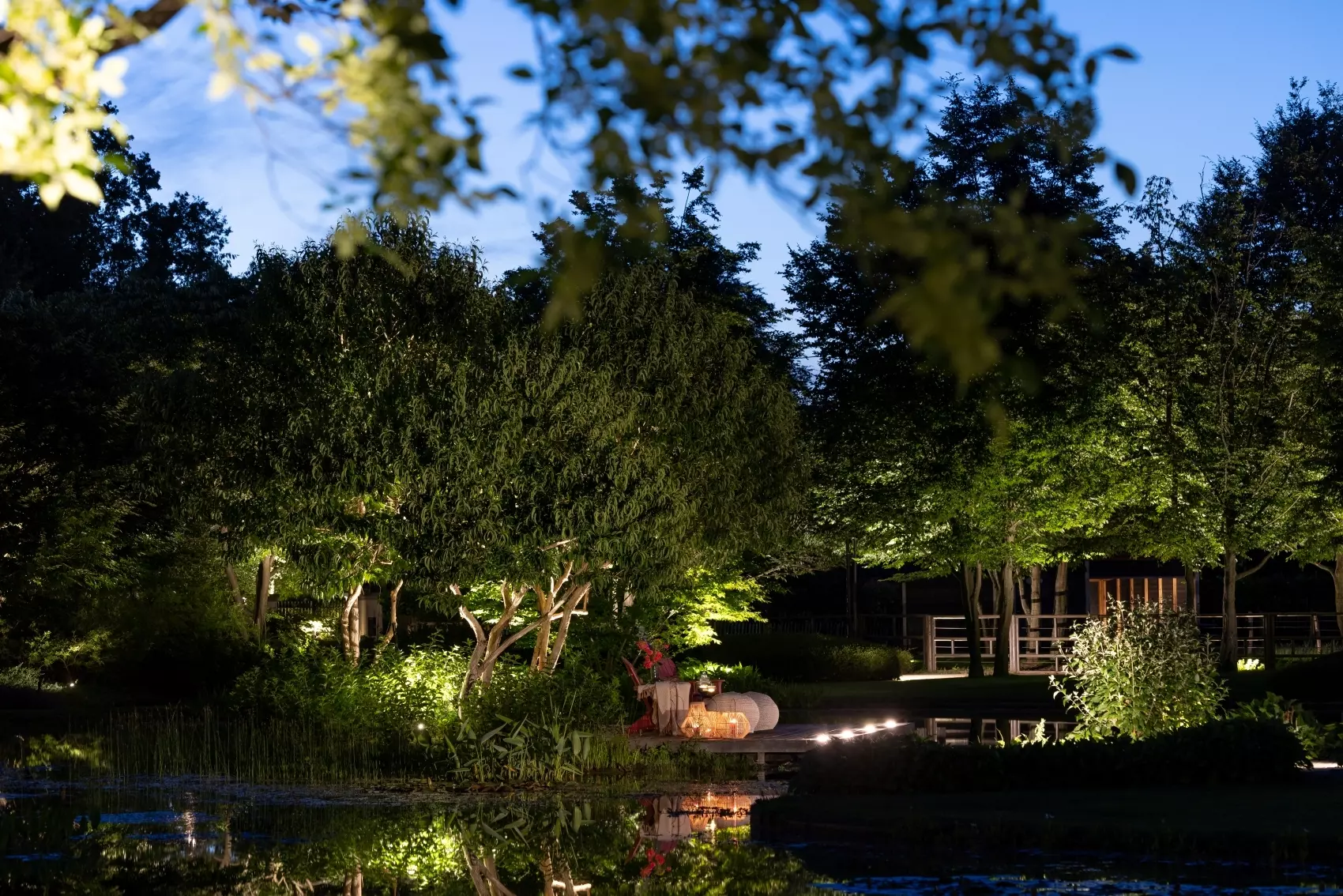 NOA | Multi-stem trees - NOA Outdoor