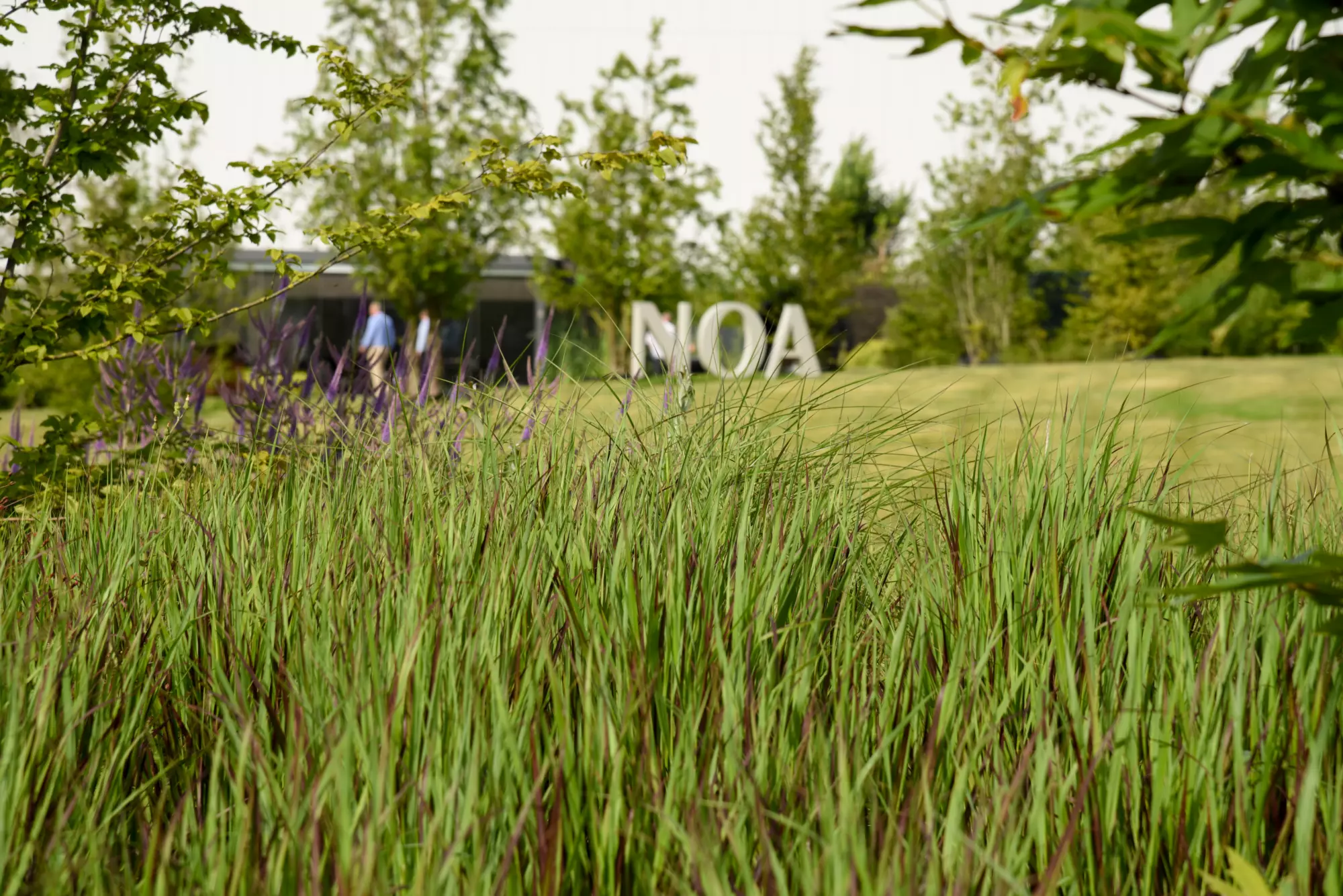 Welkom bij NOA outdoor living - NOA Outdoor